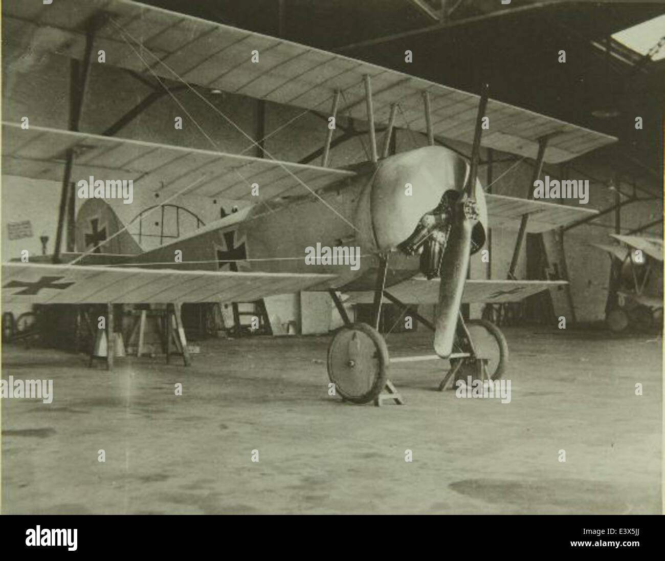 The Euler D-11 is an aircraft featured in the collection of the San ...