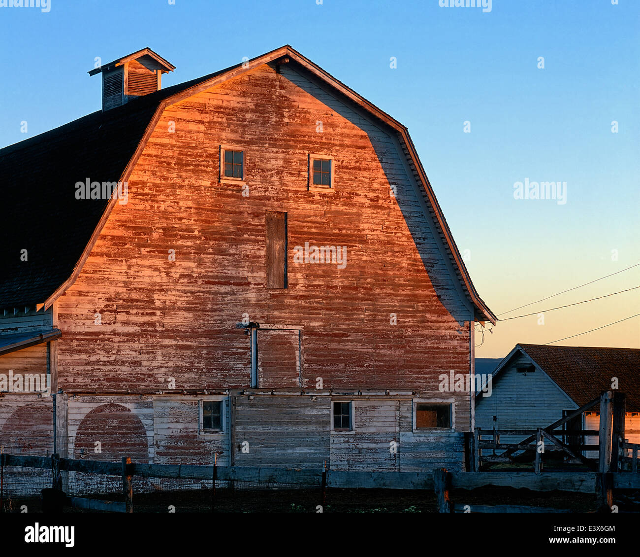 Kittias hi-res stock photography and images - Alamy