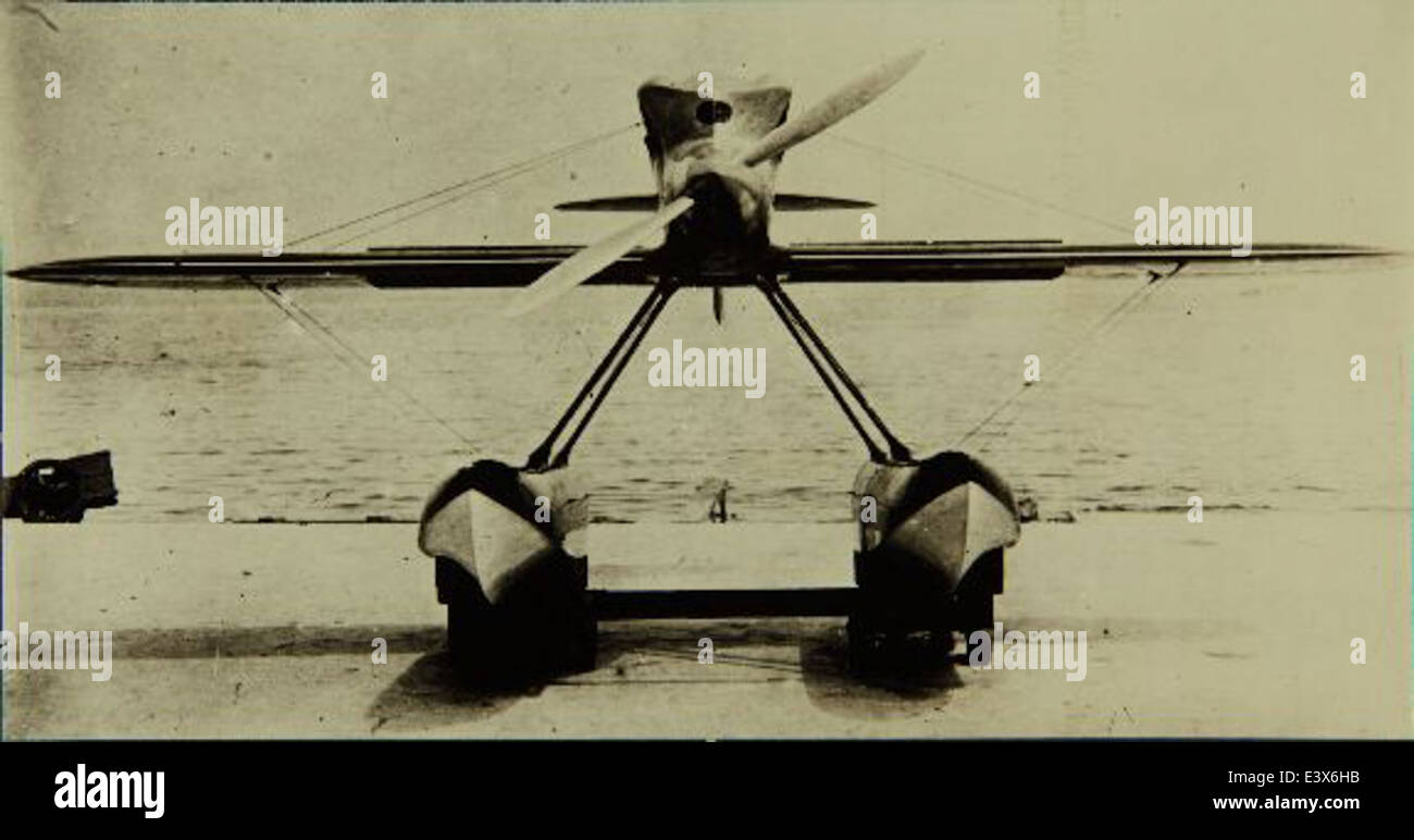 The Fiat C-29 was a light transport aircraft used by Italy during the ...