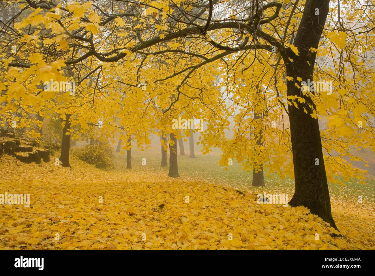 Manito park spokane hi-res stock photography and images - Alamy