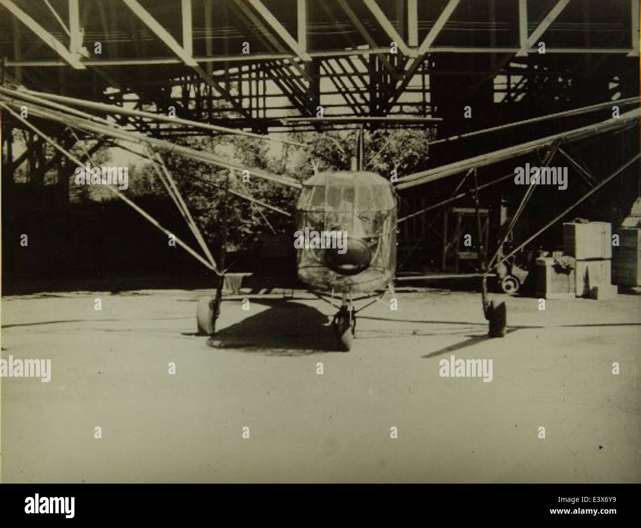 Focke achgelis hi-res stock photography and images - Alamy