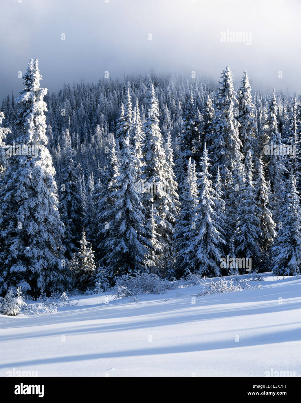 Mt spokane washington hi-res stock photography and images - Alamy