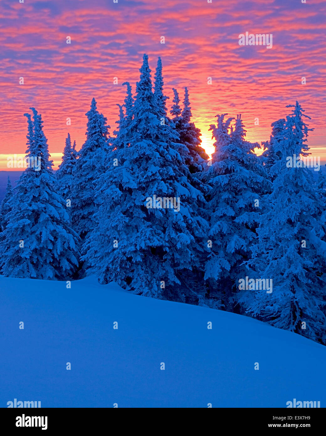 USA, Washington, Mt. Spokane State Park, winter sunset Stock Photo - Alamy