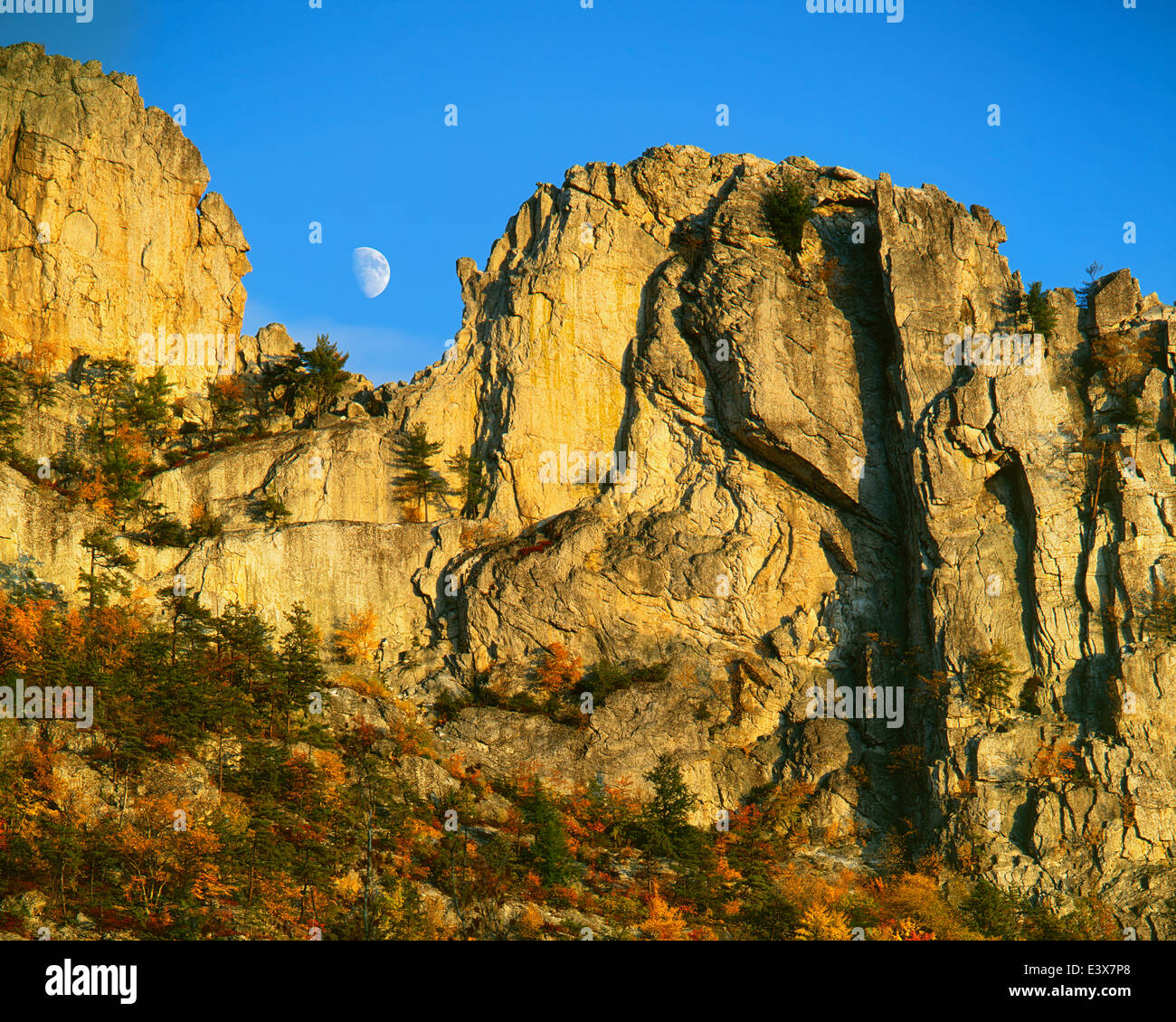 USA, West Virginia, Spruce Knob-Seneca Rocks National Recreation Area ...