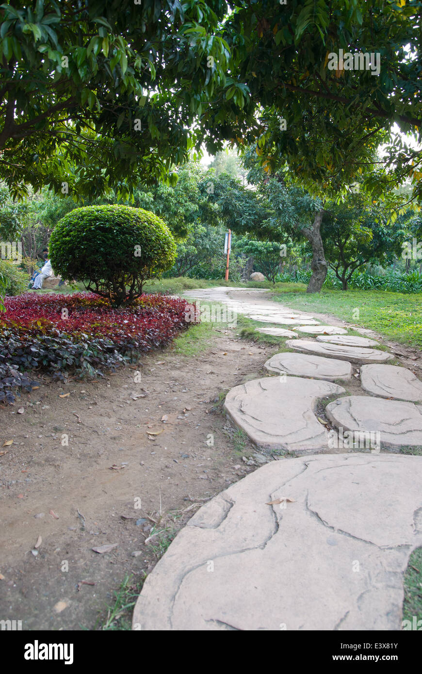 Stone under tree hi-res stock photography and images - Alamy