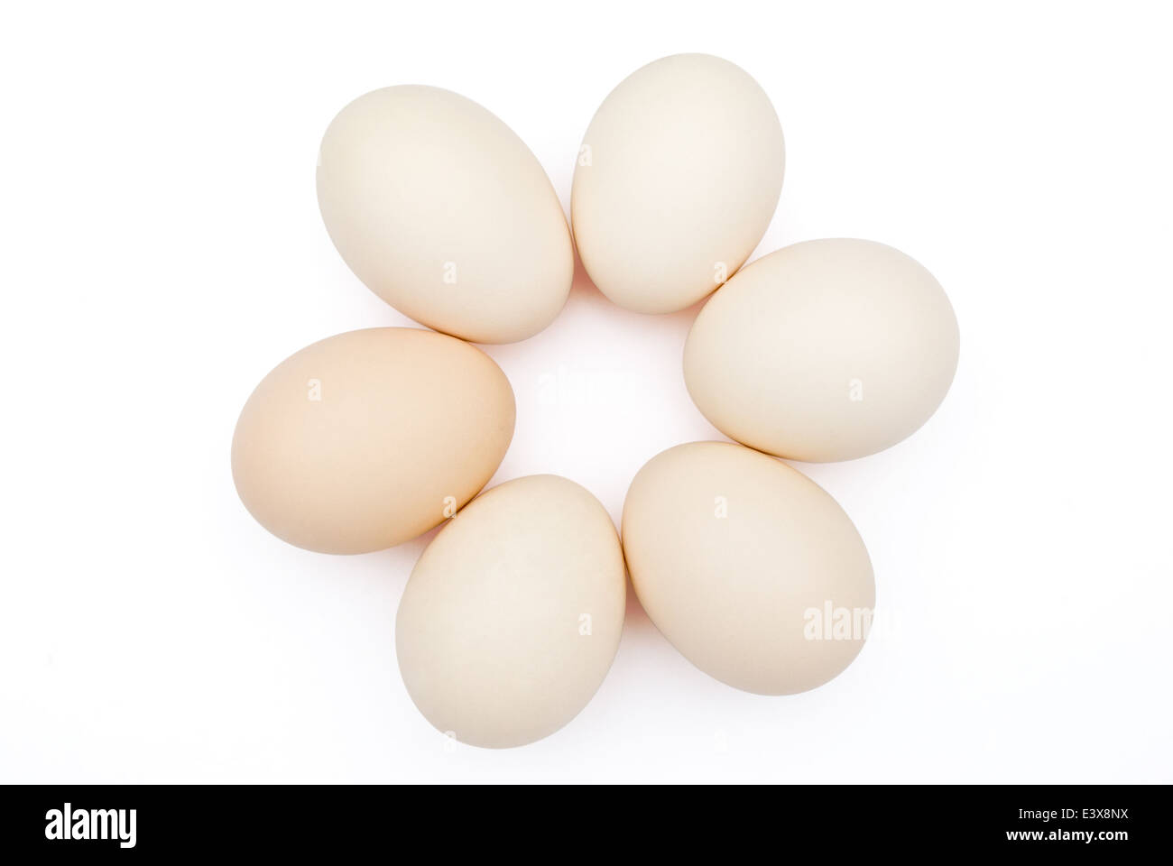 6 eggs lined up in circle with clipping path Stock Photo - Alamy