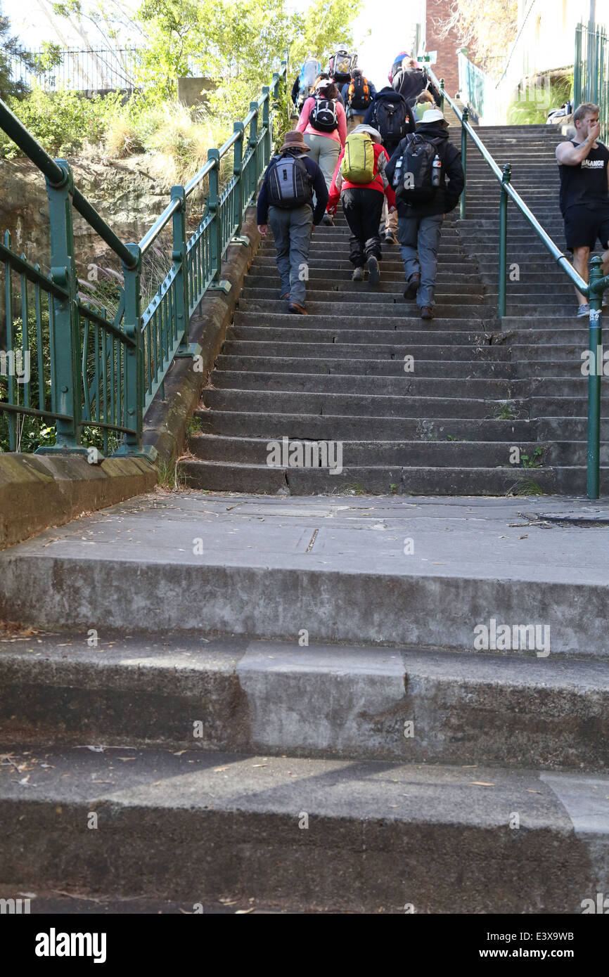 McElhone stairs links the Sydney suburb of Potts Point to Woolloomooloo ...