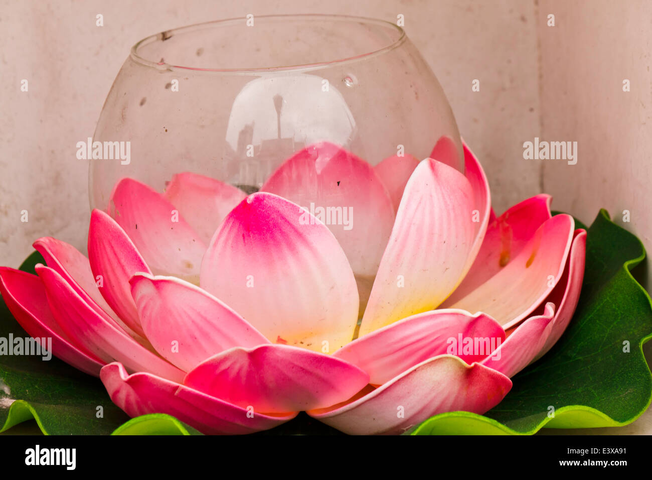 Lotus vector design hi-res stock photography and images - Alamy