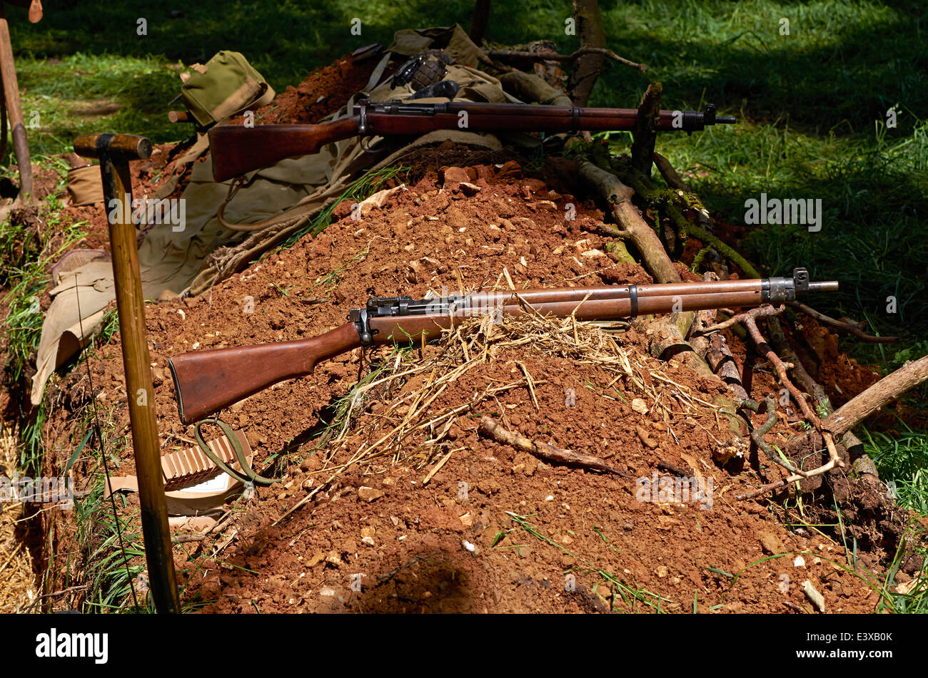 British army fox hole in a wood with Lee-Enfield No 4 rifles resting on ...