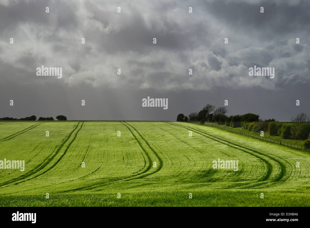 Storrington west sussex hi-res stock photography and images - Alamy