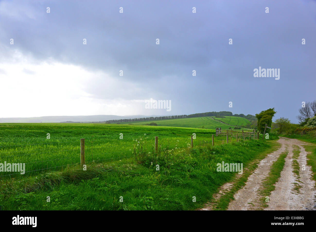 Storrington hi-res stock photography and images - Alamy