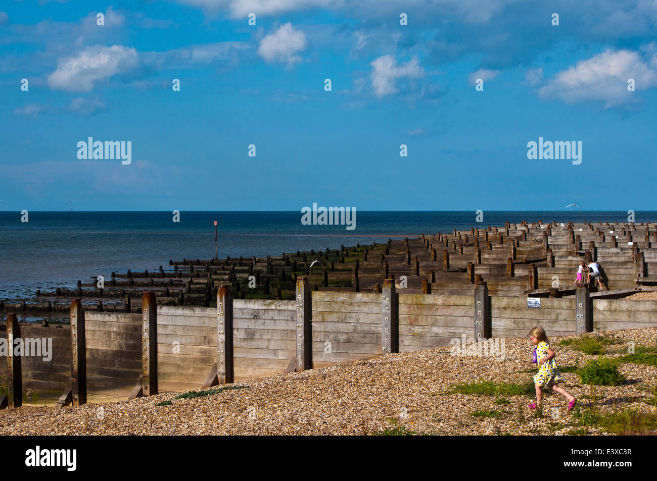 Wooden groynes East beach Whitstable Stock Photo - Alamy