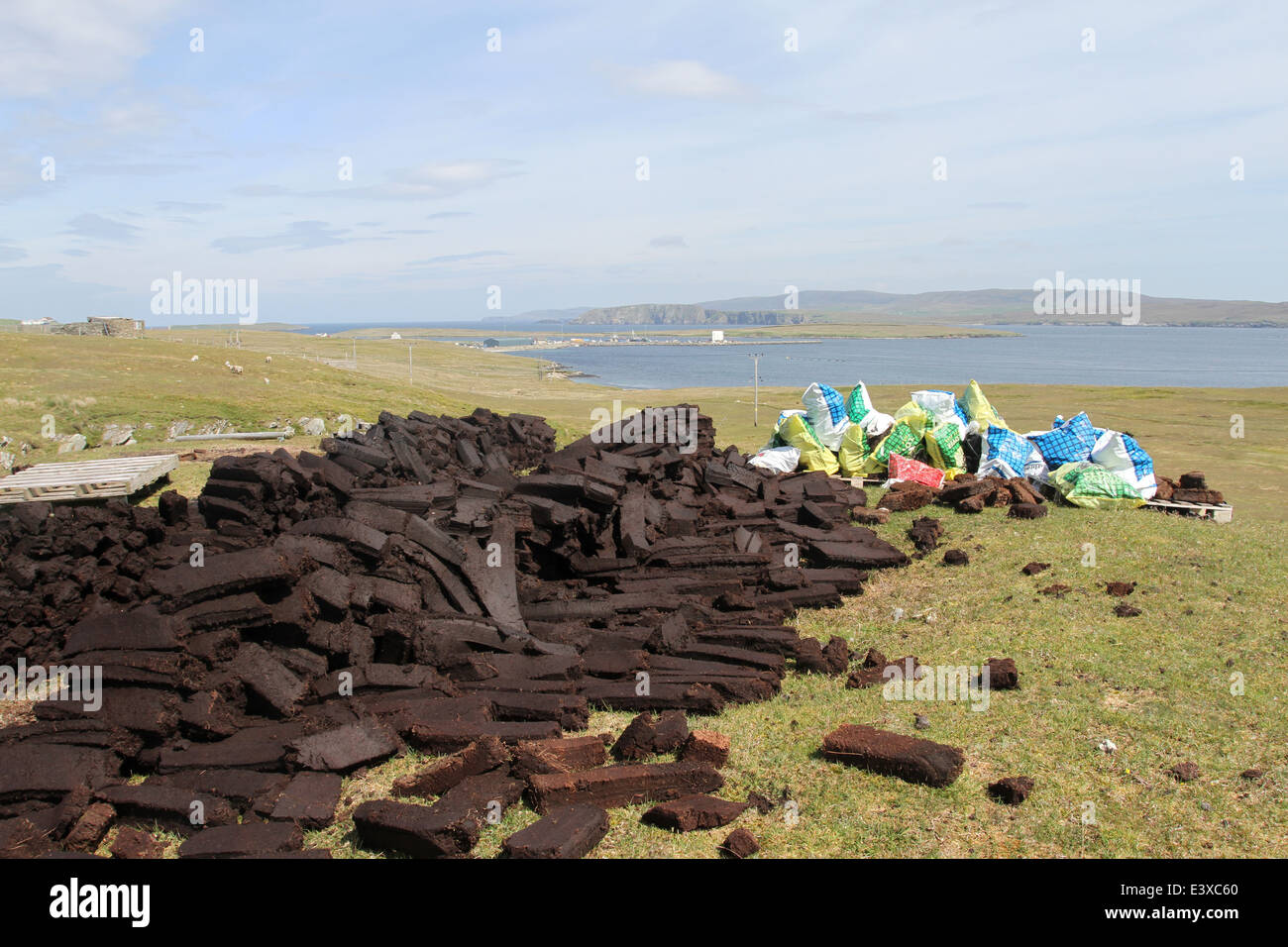 Stacks of peat drying in the sun Yell Shetland Scotland June 2014 Stock ...