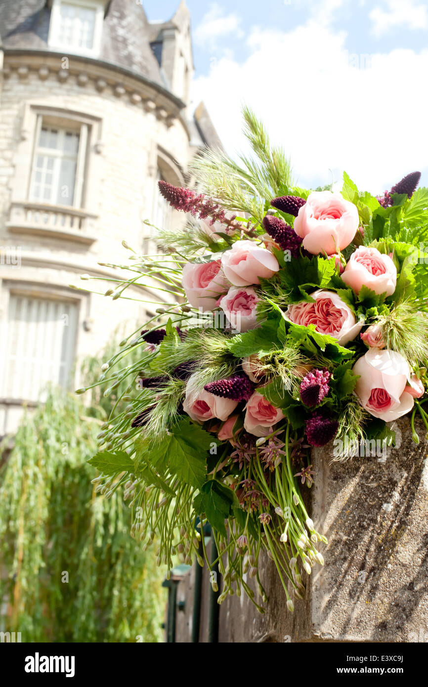 Gramine hi-res stock photography and images - Alamy