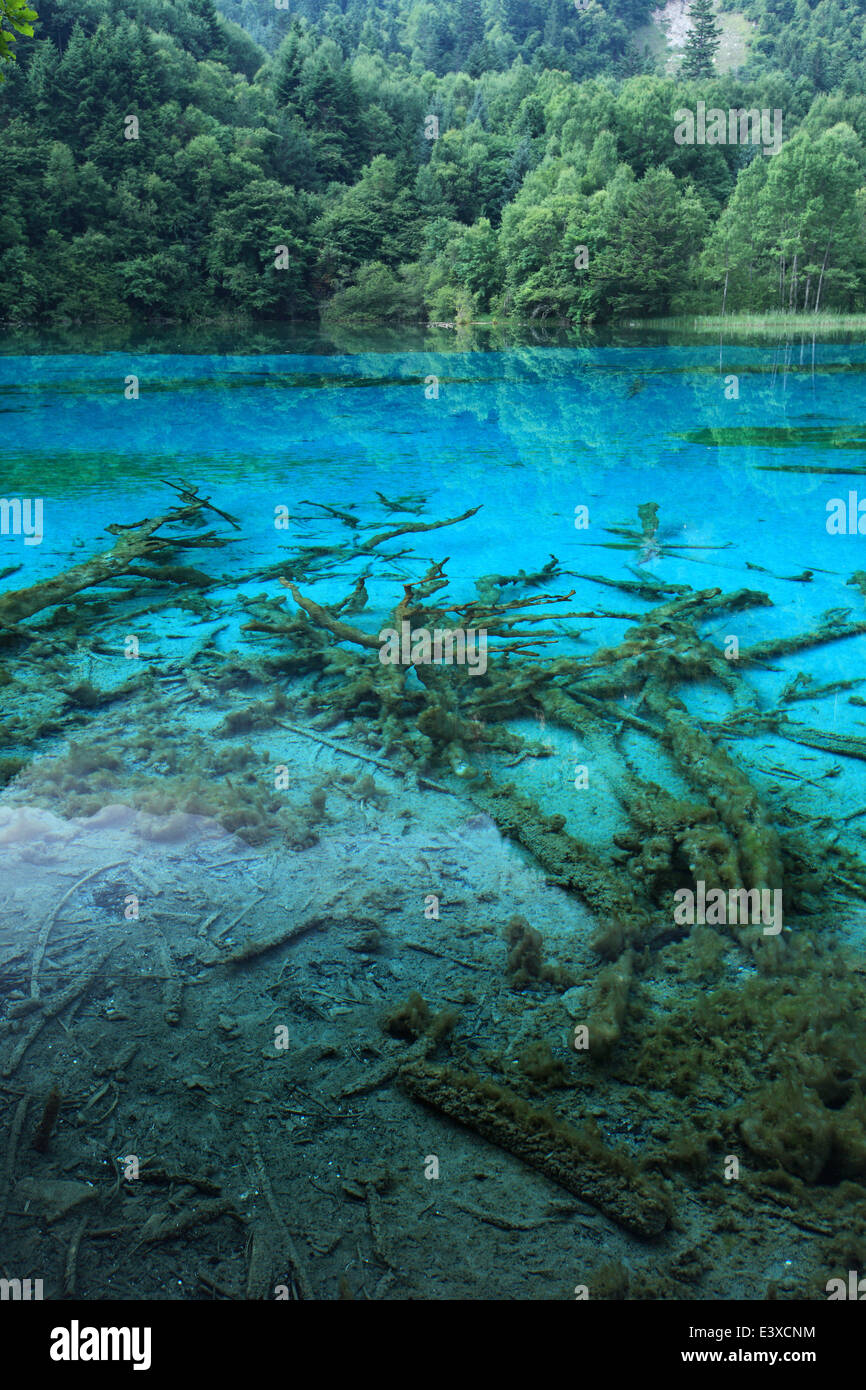 Five flowers lake china hi-res stock photography and images - Alamy