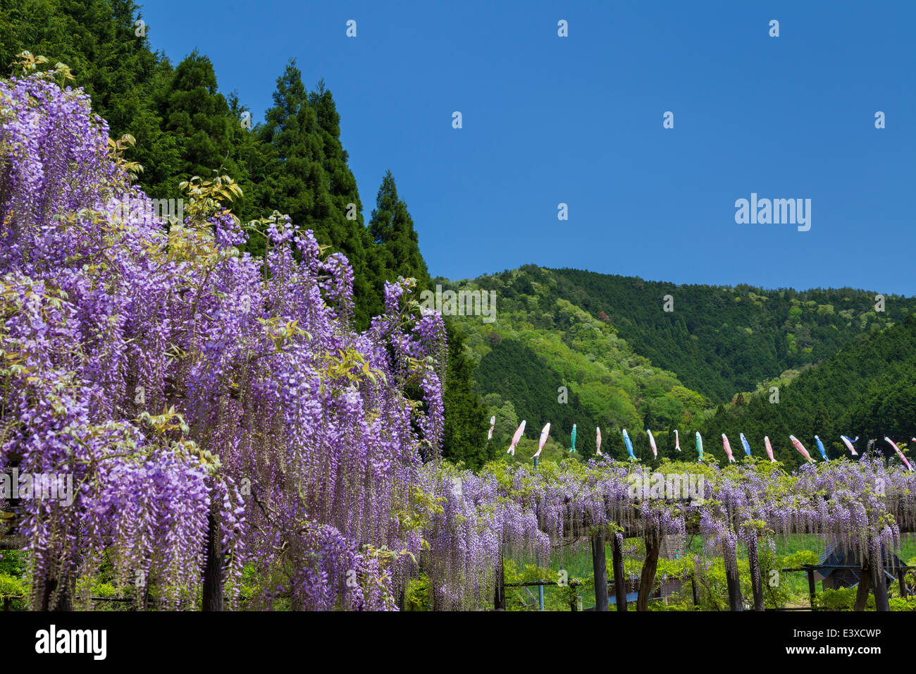Hyogo Prefecture, Japan Stock Photo - Alamy