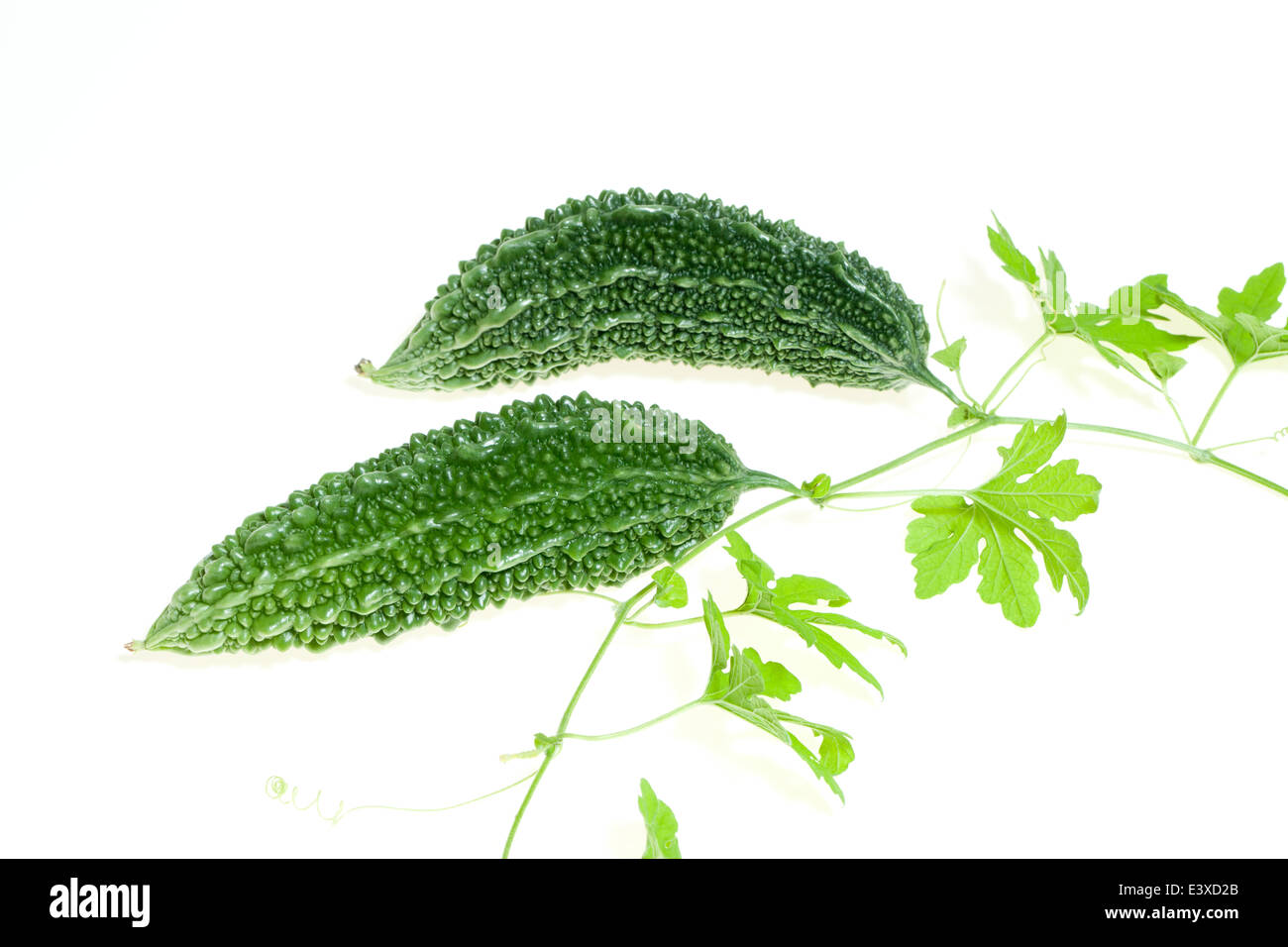 Goya fruit hi-res stock photography and images - Alamy