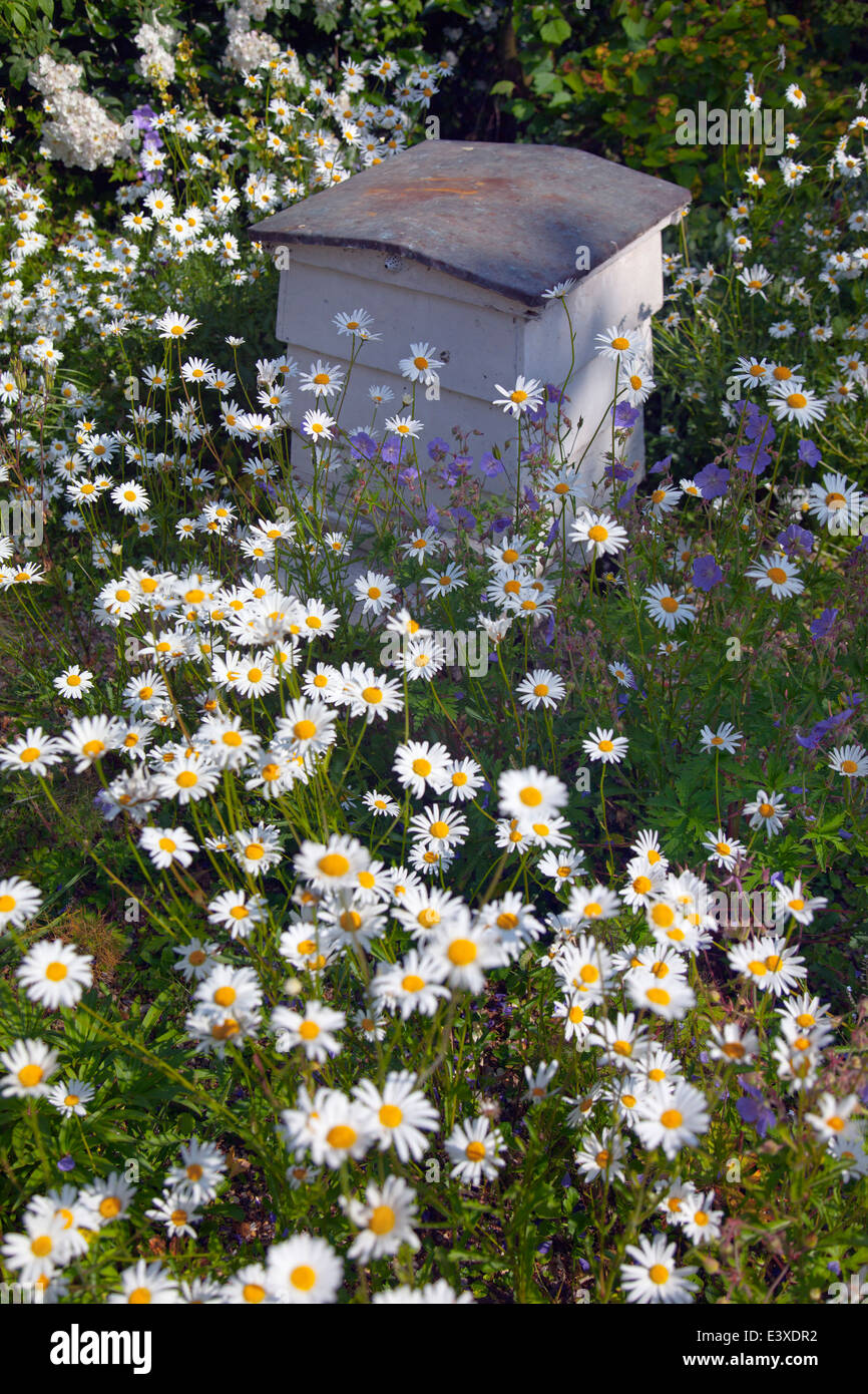 Traditional Bee Hive in Summer in cottage garden Stock Photo - Alamy