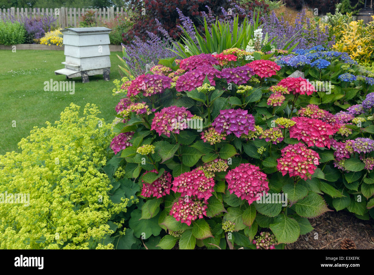 Traditional Bee Hive in Summer in cottage garden Stock Photo - Alamy