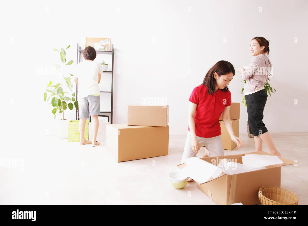House boarding up woman hi-res stock photography and images - Alamy