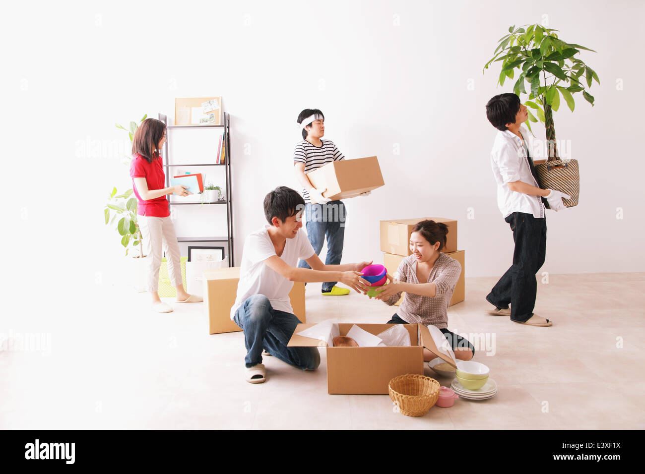 House boarding up woman High Resolution Stock Photography and Images ...