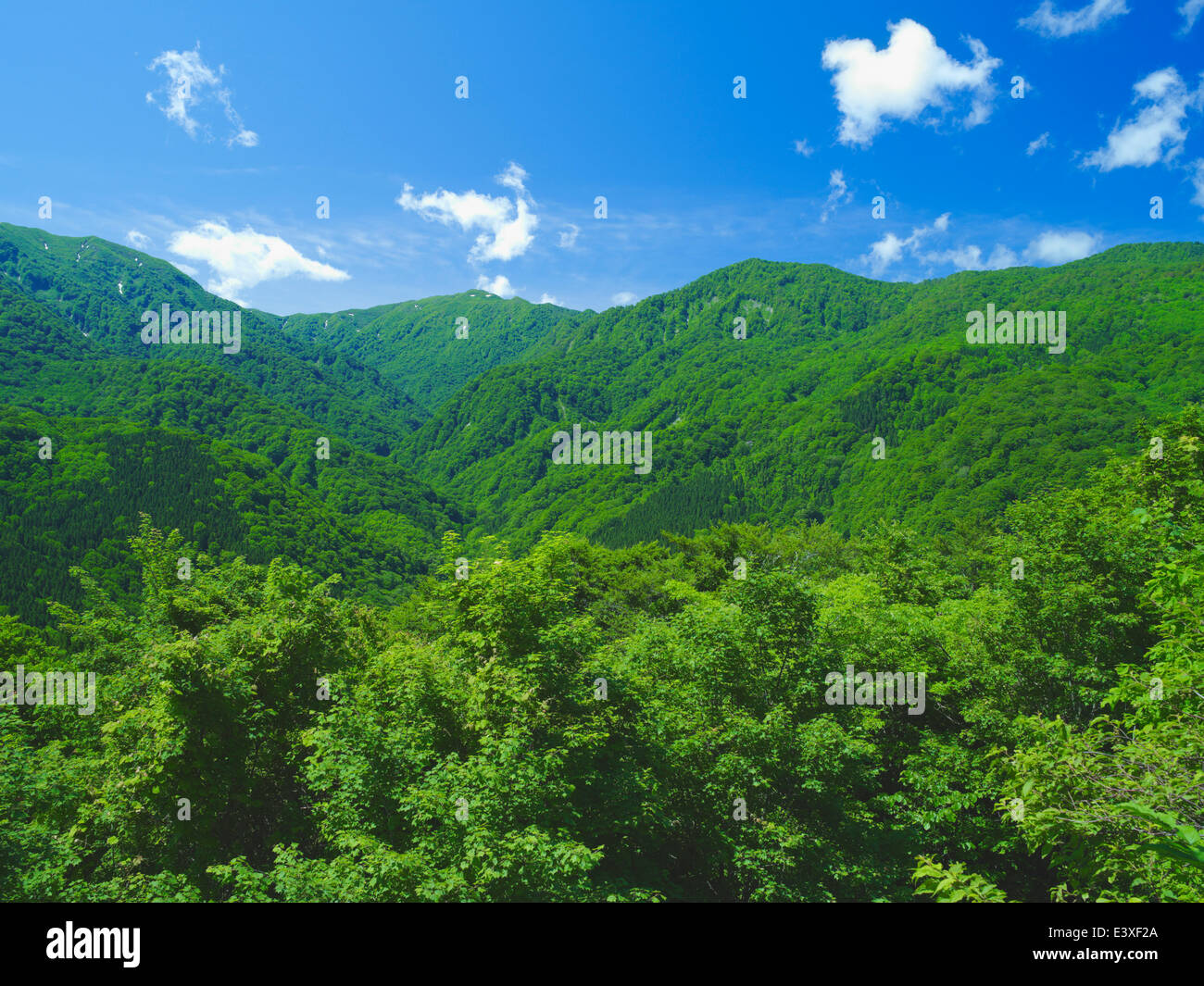 Shirakami mountain hi-res stock photography and images - Alamy