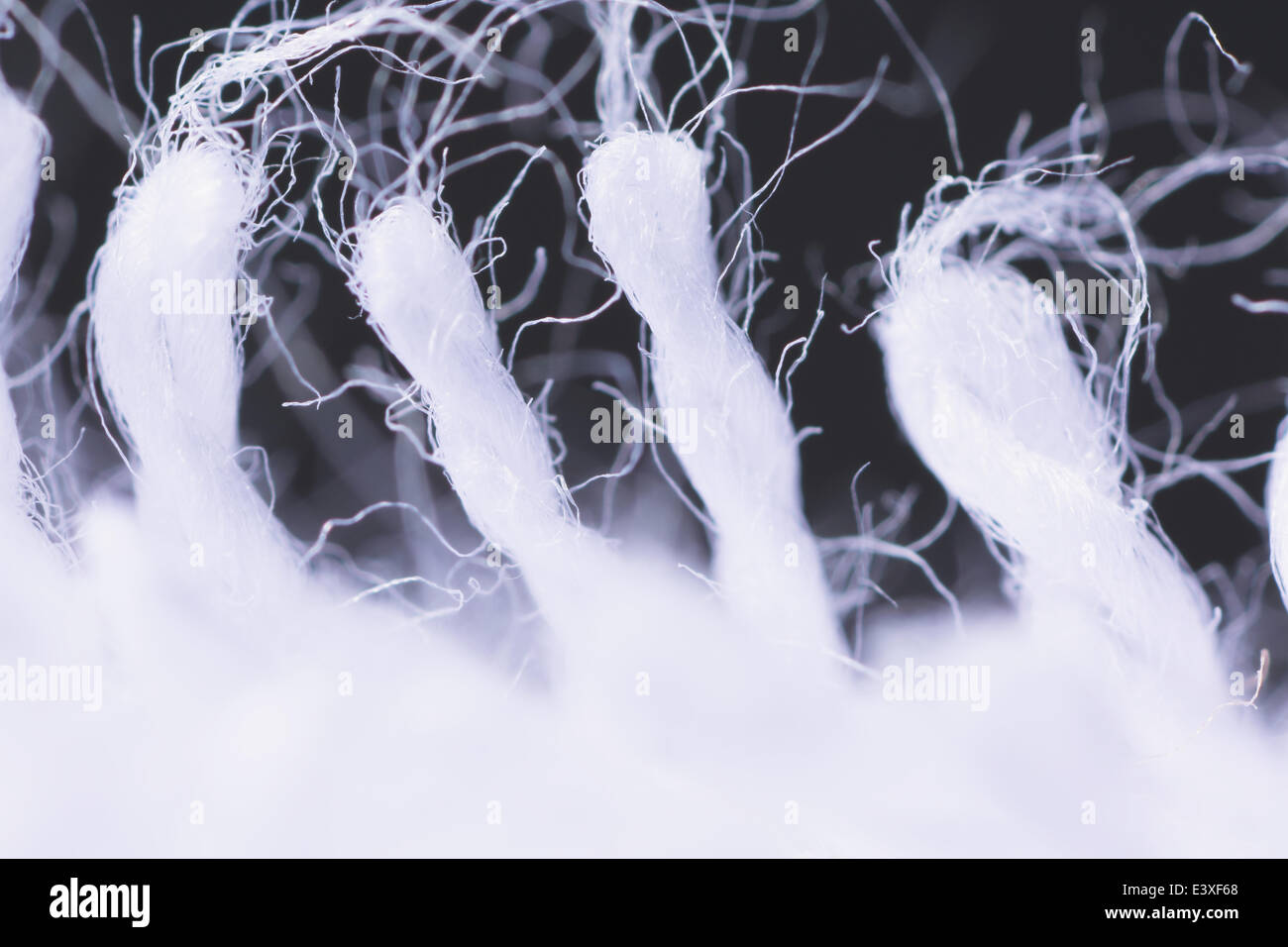 Cotton fiber hi-res stock photography and images - Alamy