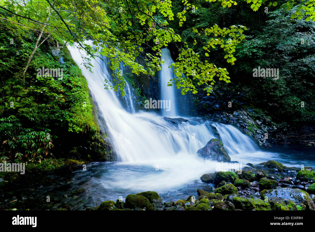 Nagano Prefecture, Japan Stock Photo - Alamy