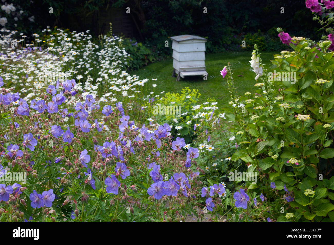 Traditional Bee Hive in Summer in cottage garden Stock Photo - Alamy