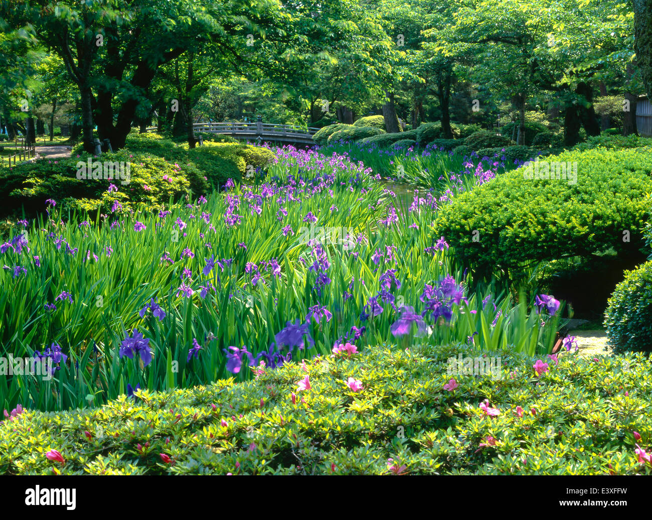Kanazawa greenery hi-res stock photography and images - Alamy