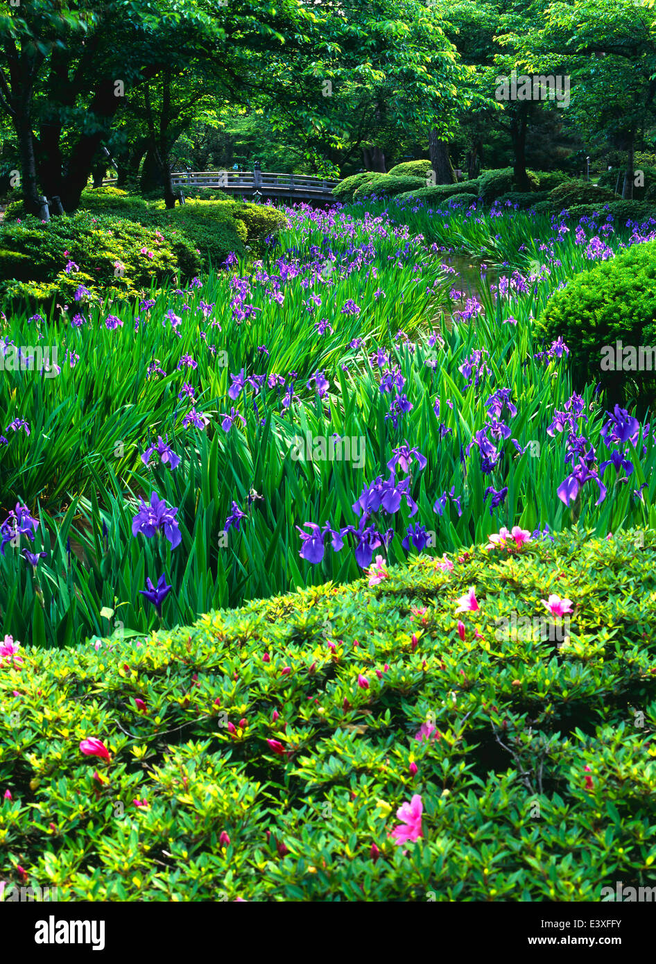 Kanazawa greenery hi-res stock photography and images - Alamy