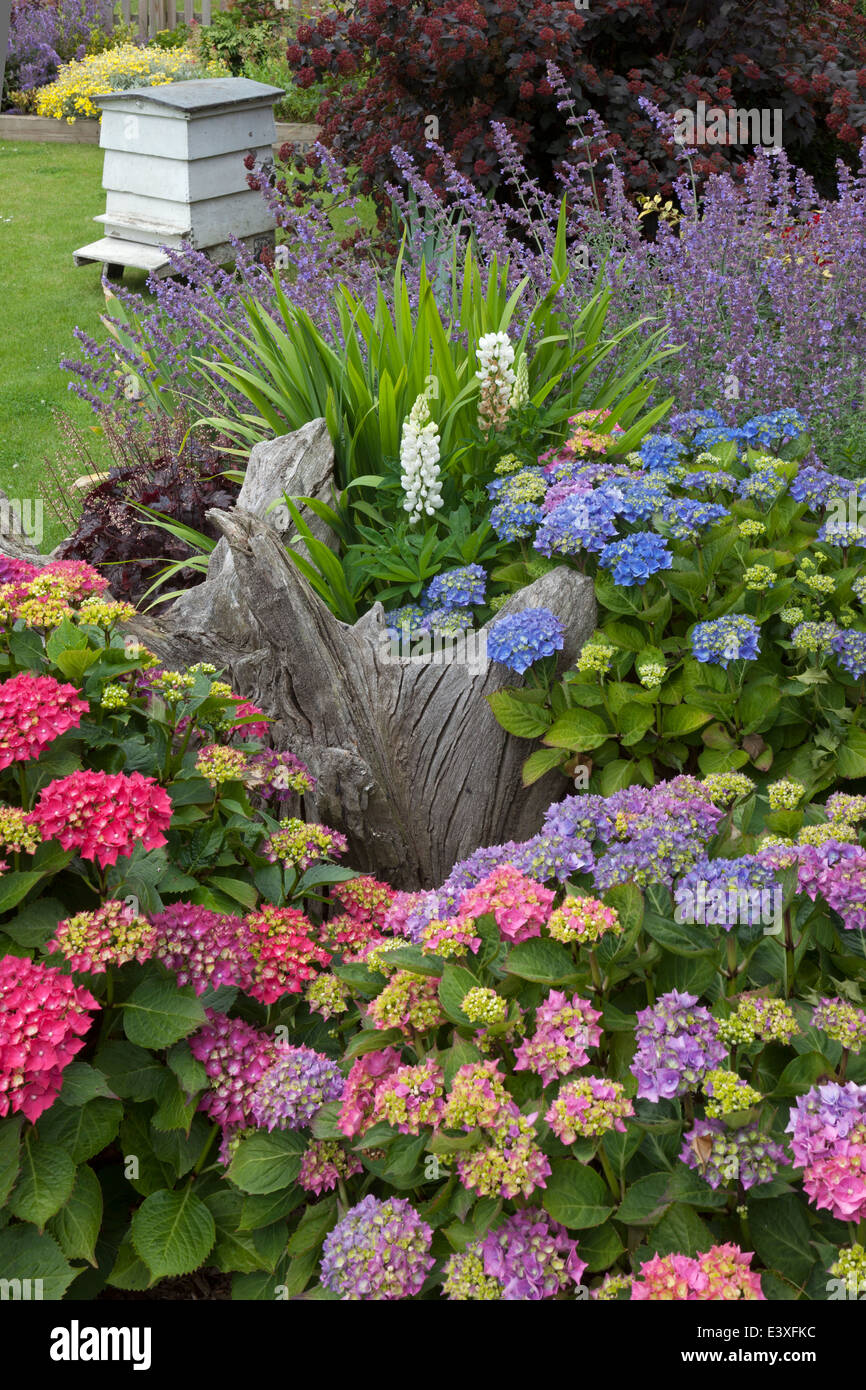 Traditional Bee Hive in Summer in cottage garden Stock Photo - Alamy