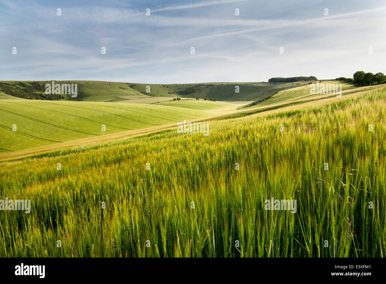 The landscape of South Downs National Park in East Sussex between ...