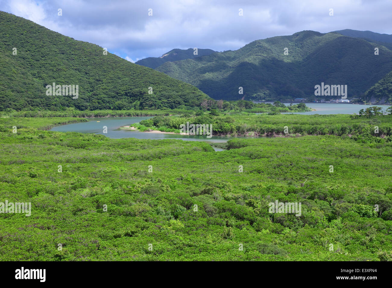 Yakugachi hi-res stock photography and images - Alamy
