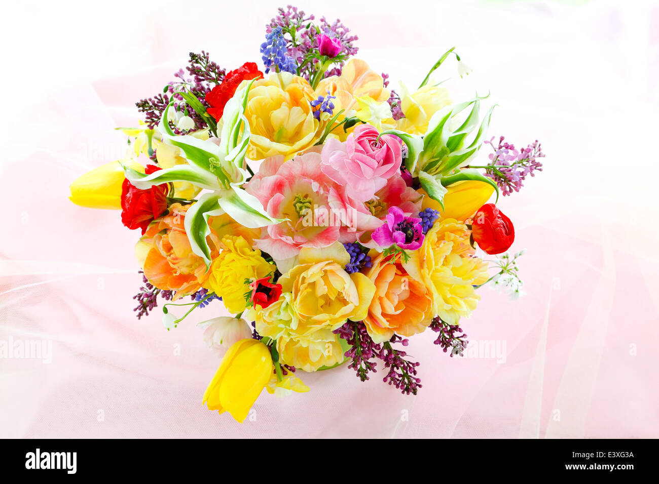 Acis flower hi-res stock photography and images - Alamy