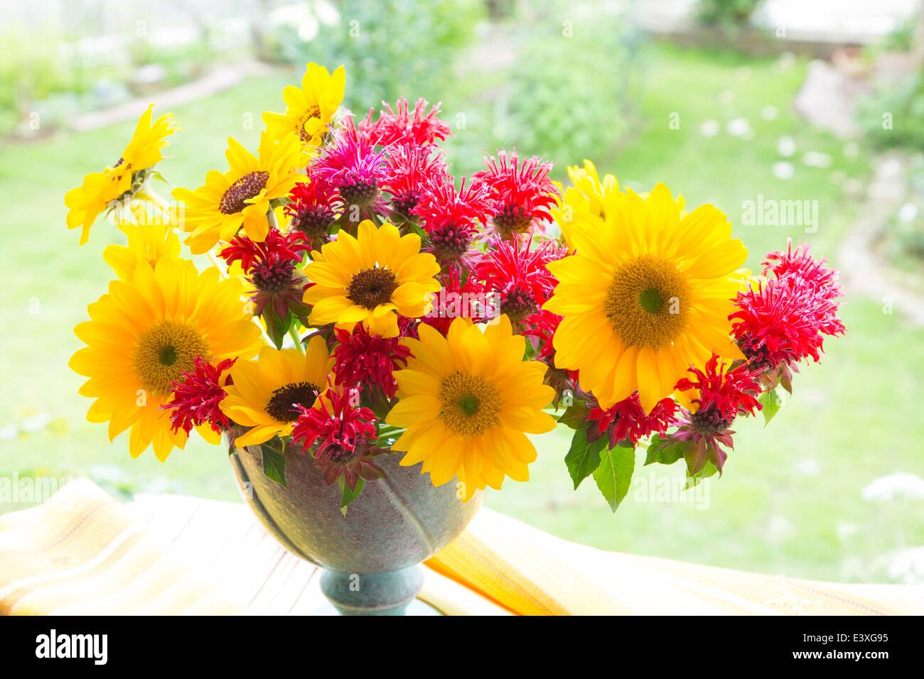 Red noon flower hi-res stock photography and images - Alamy