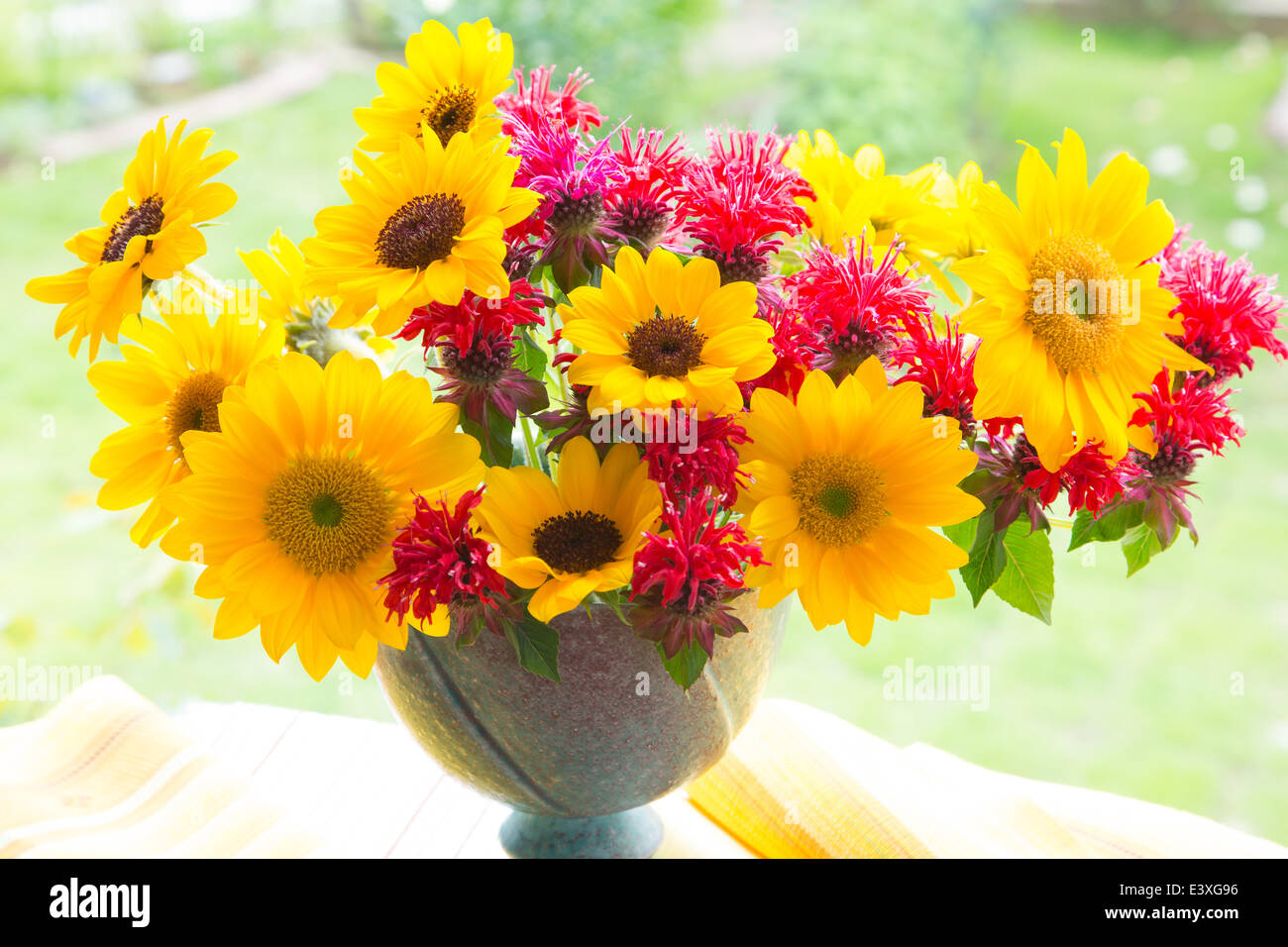 Red noon flower hi-res stock photography and images - Alamy