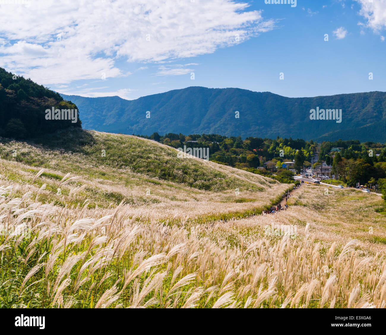 Kanagawa Prefecture, Japan Stock Photo - Alamy