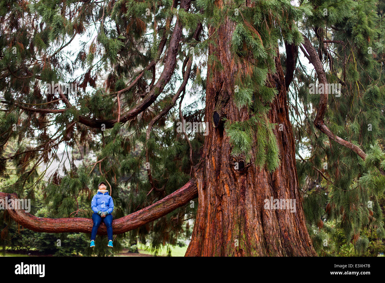 Female Sitting At A Tree High Resolution Stock Photography and Images ...