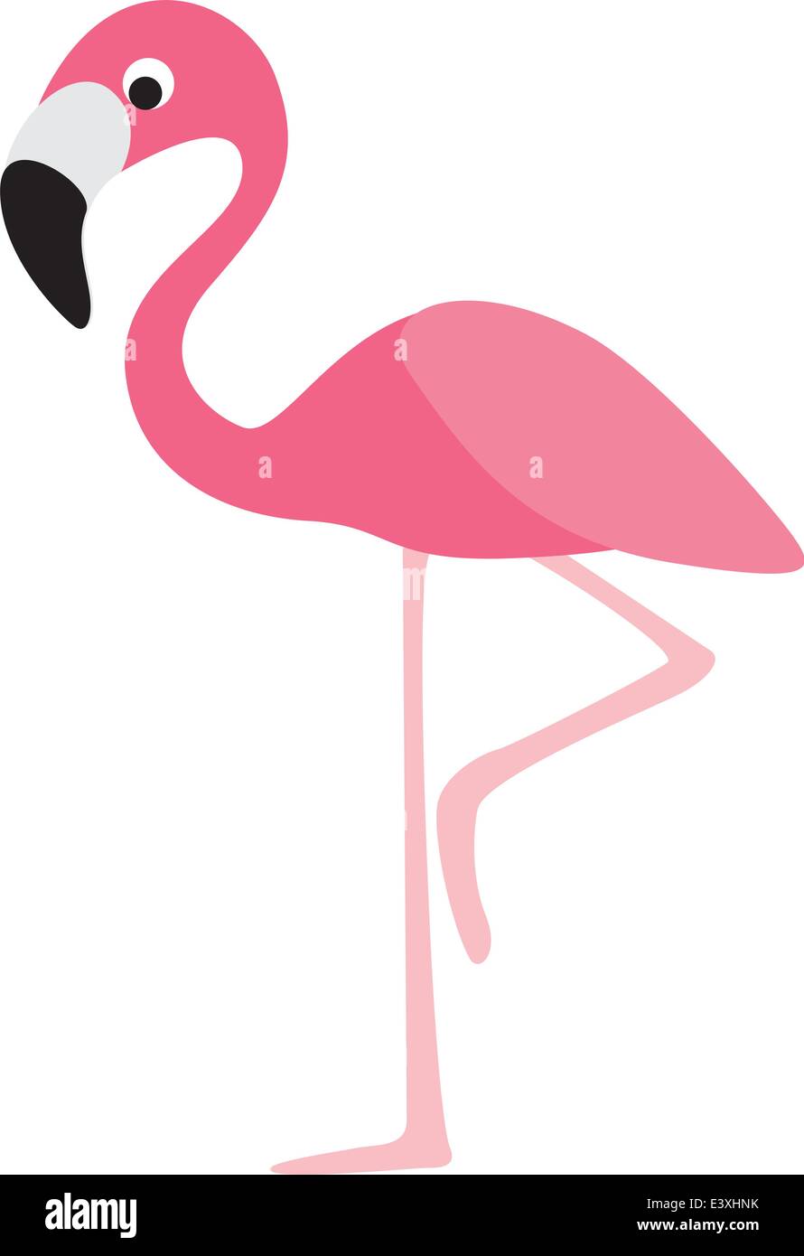 flamingo modern colour cartoon character on white background Stock ...