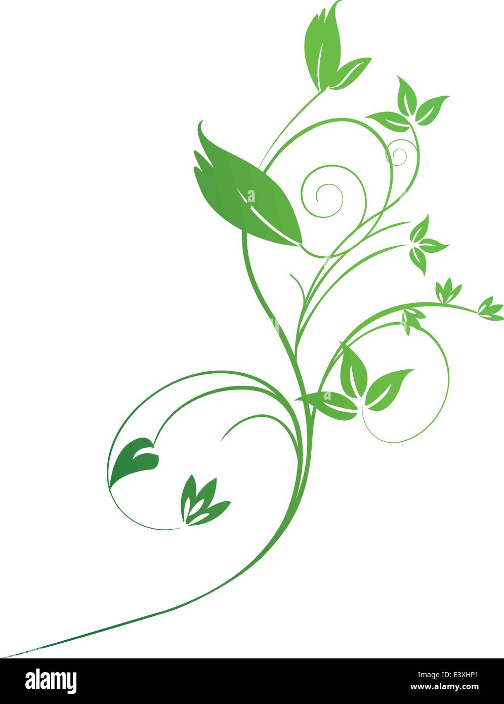 Simple Floral Swirl Design