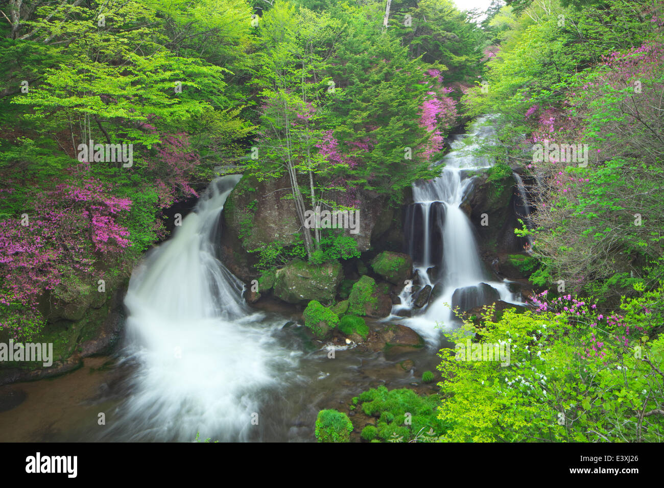 Tochigi Prefecture, Japan Stock Photo - Alamy