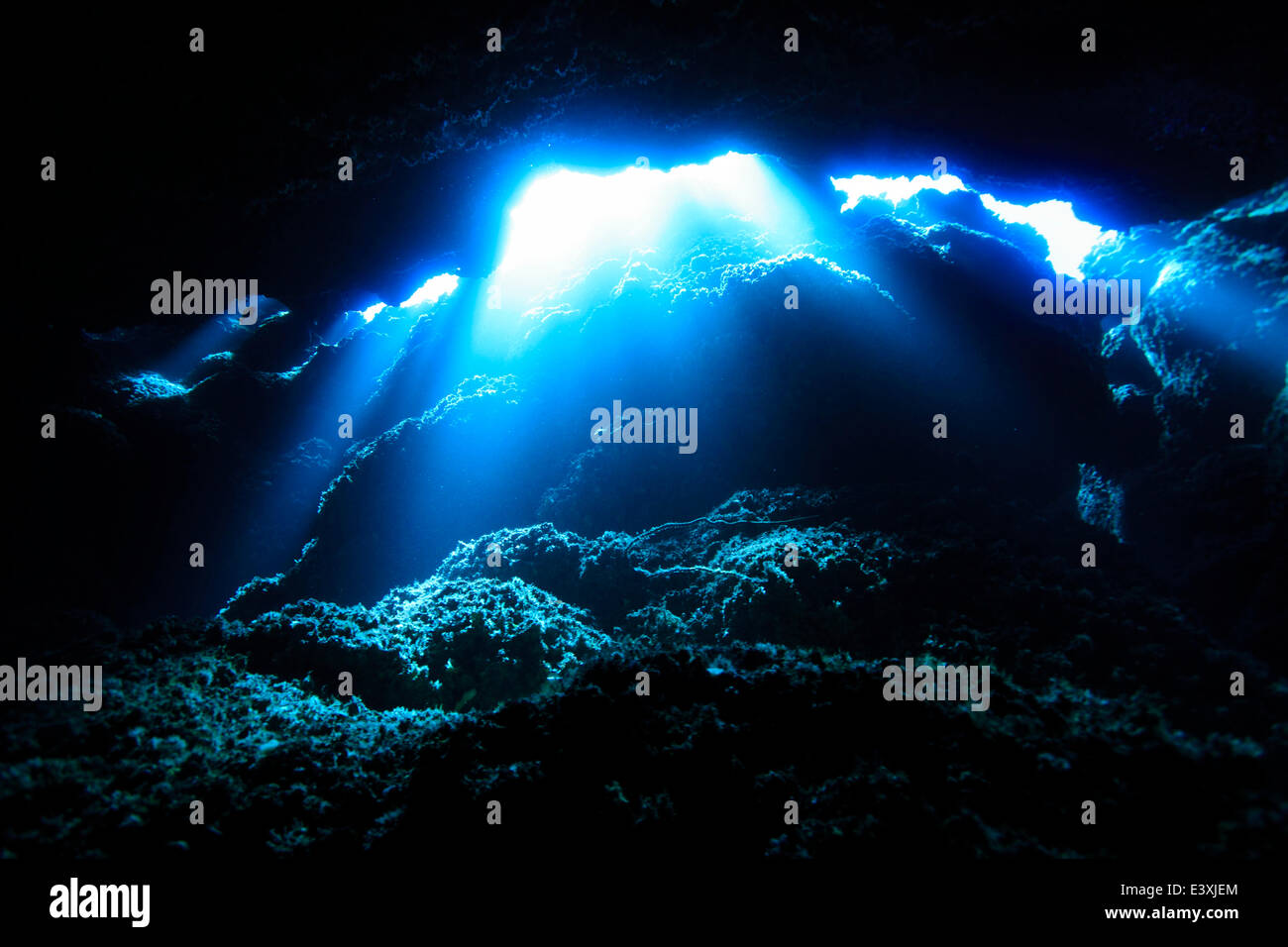 Under the sea Stock Photo - Alamy