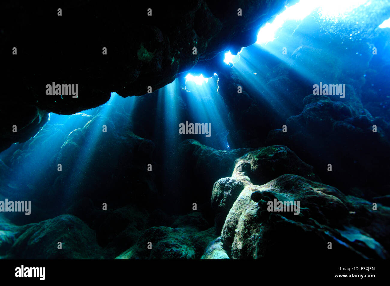 Under the sea Stock Photo - Alamy