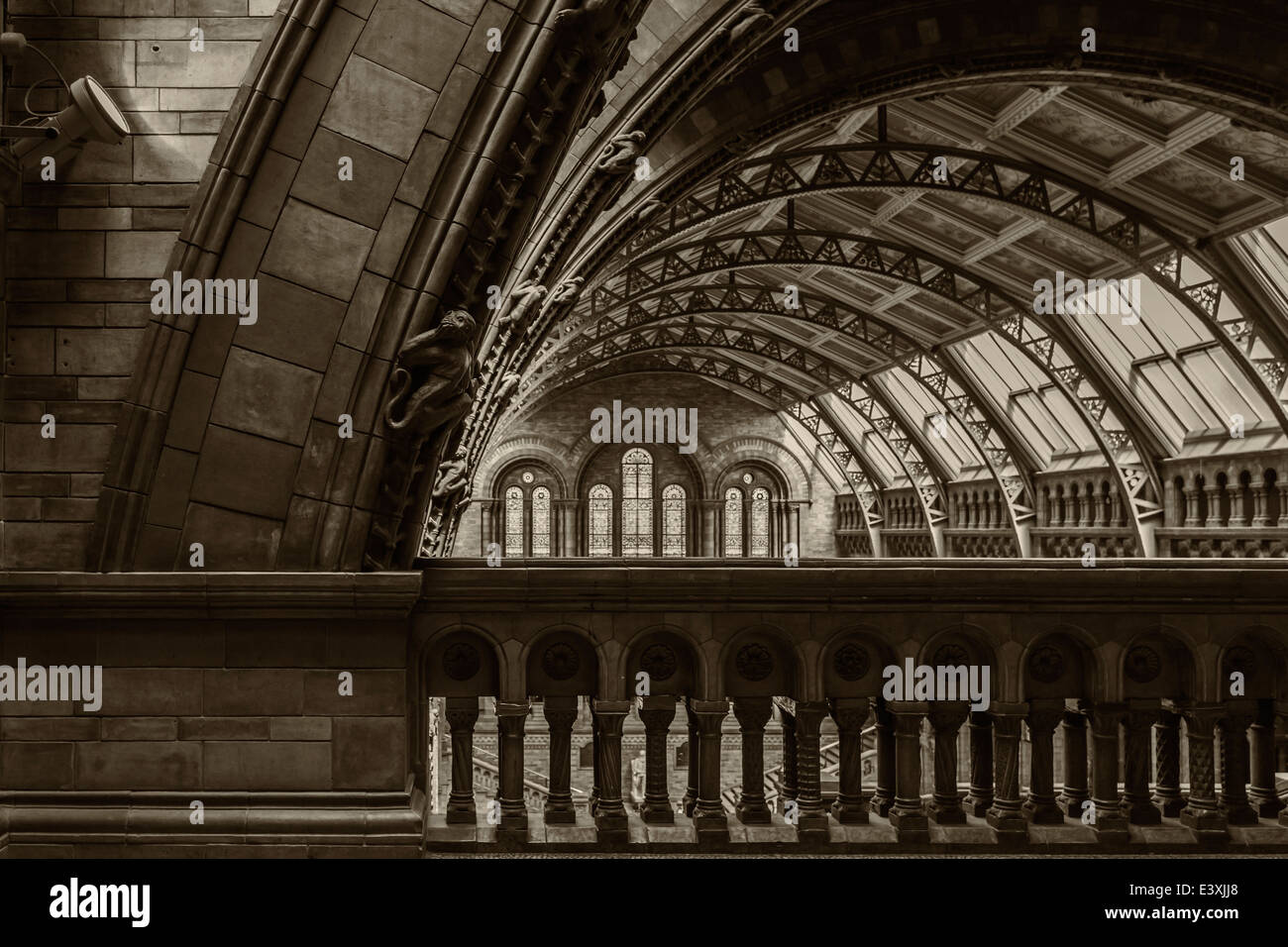 Inside Natural History Museum Stock Photo - Alamy