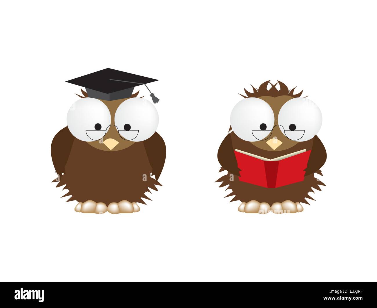 2 illustrations of studious owls, vector fully editable Stock Vector ...