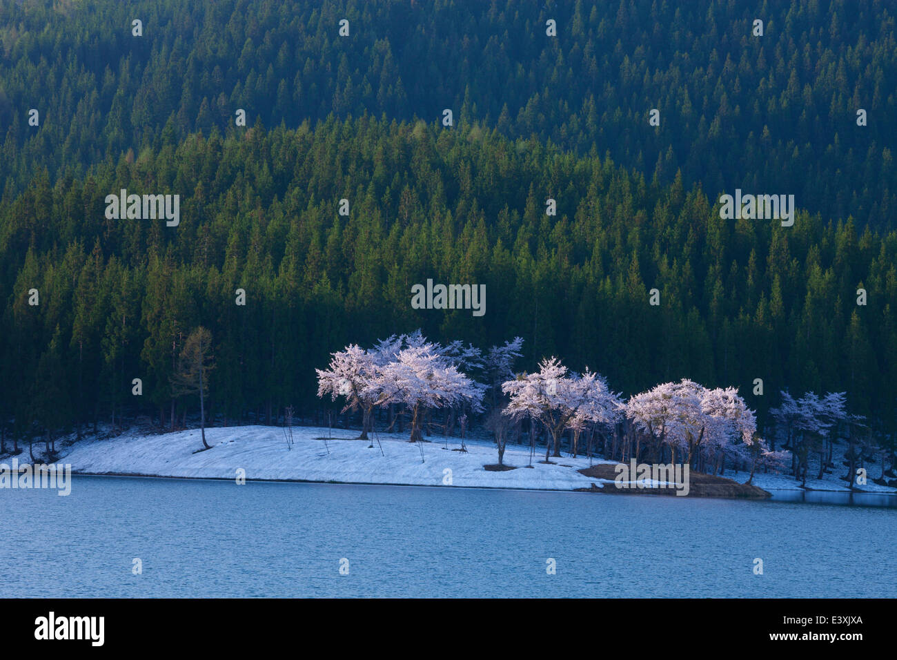 Niigata Prefecture, Japan Stock Photo - Alamy