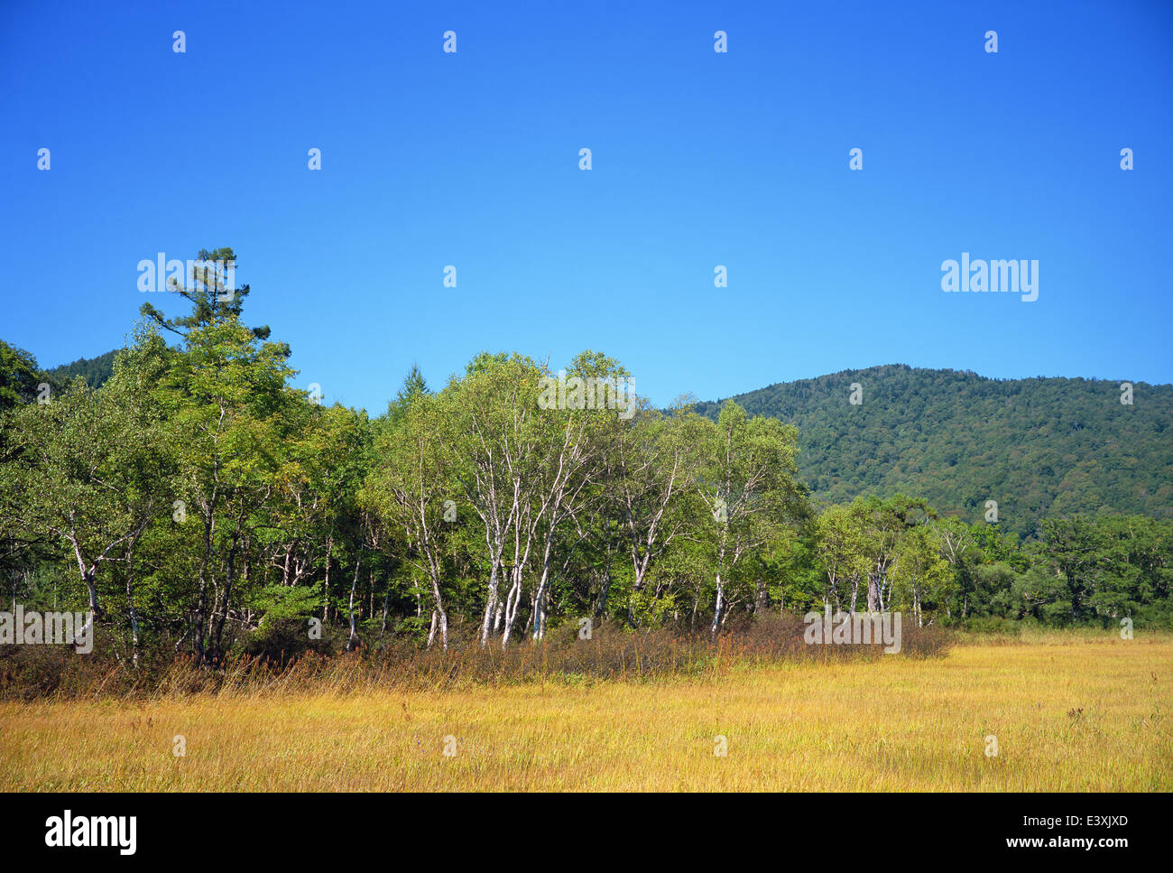 Gunma Prefecture, Japan Stock Photo - Alamy