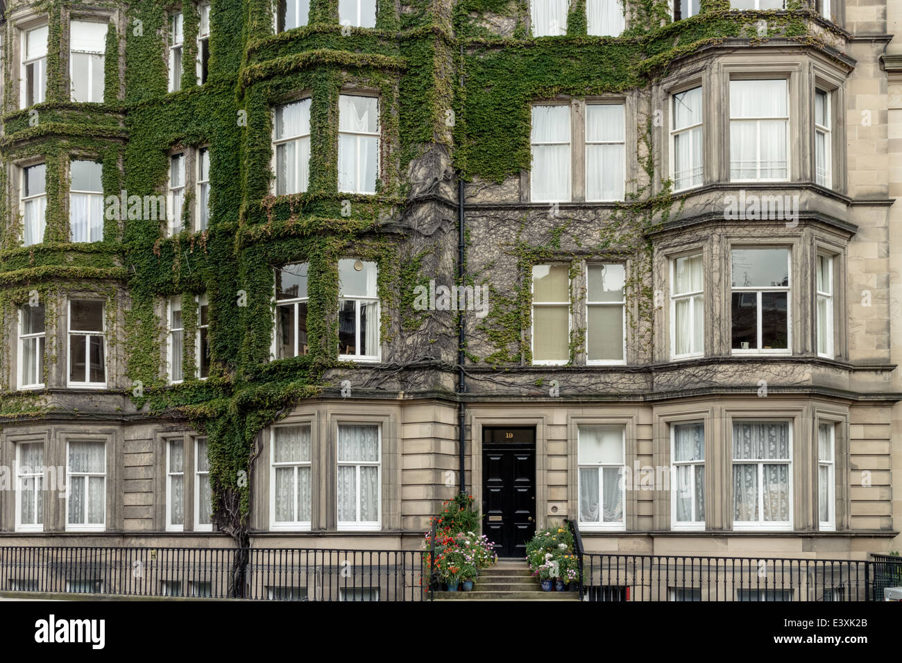 Ivy growing on the exterior of a house in Rothesay Terrace, Edinburgh ...