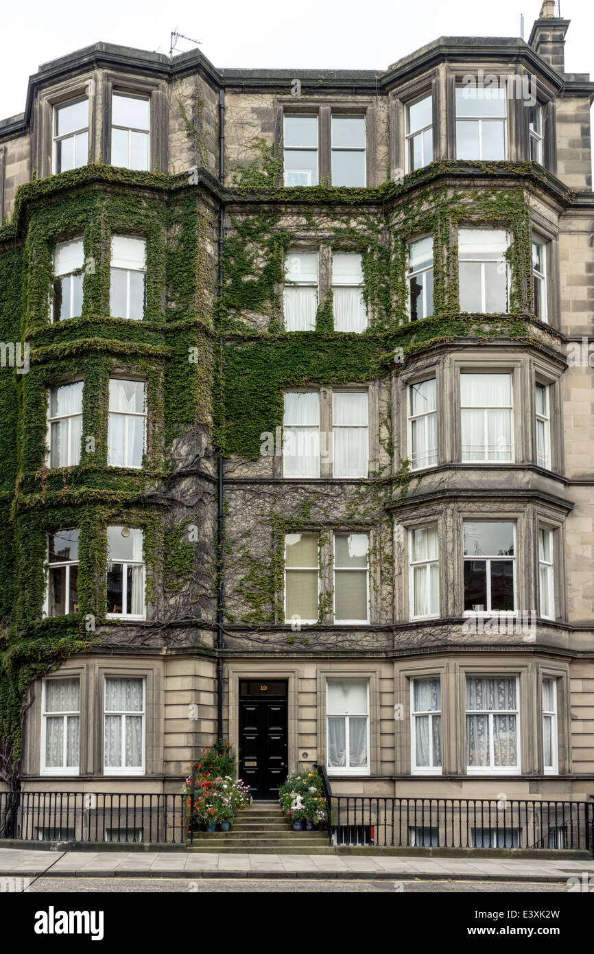 Ivy growing on the exterior of a house in Rothesay Terrace, Edinburgh ...